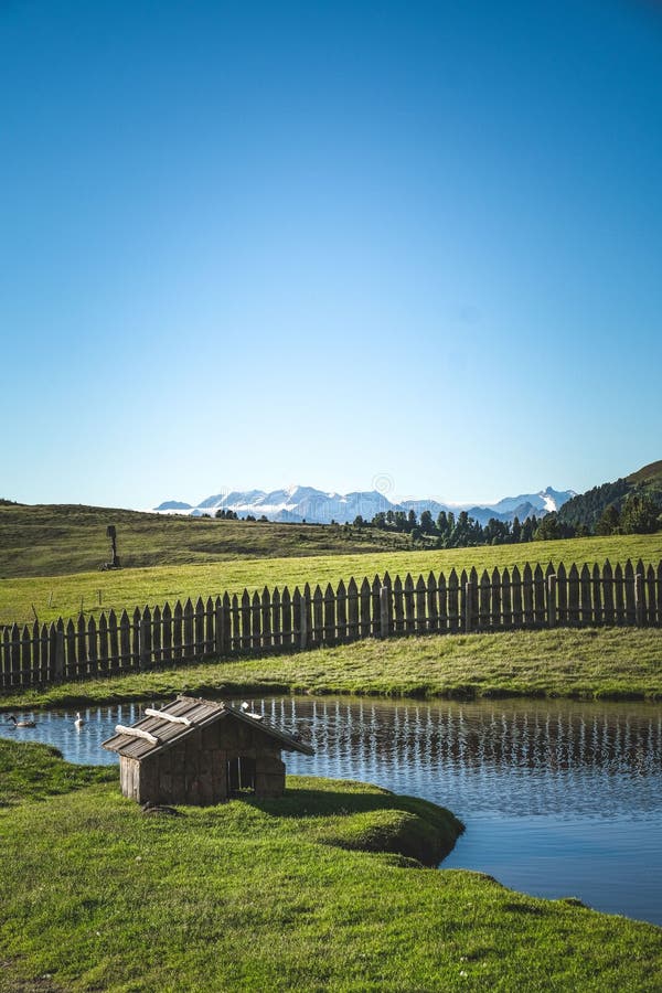 Farm Scenery on a Bright Sunny Day in the Countryside Stock Photo ...