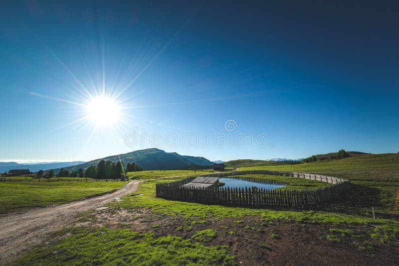 Farm Scenery on a Bright Sunny Day in the Countryside Stock Image ...