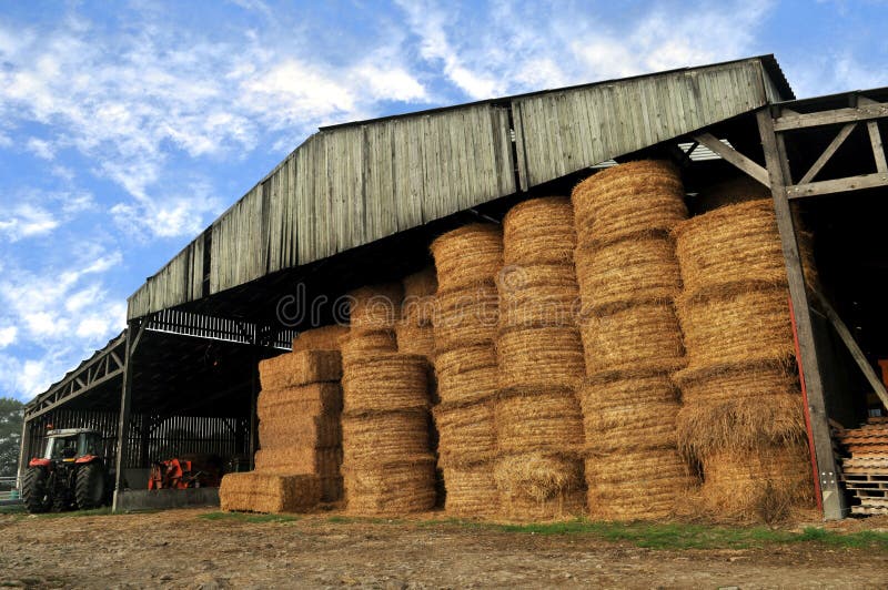 Barn with straw rolls stock photo. Image of rolls, barn - 63534024