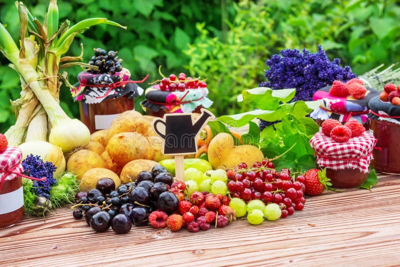 The farm shop stock image. Image of gooseberries, currants - 42174363