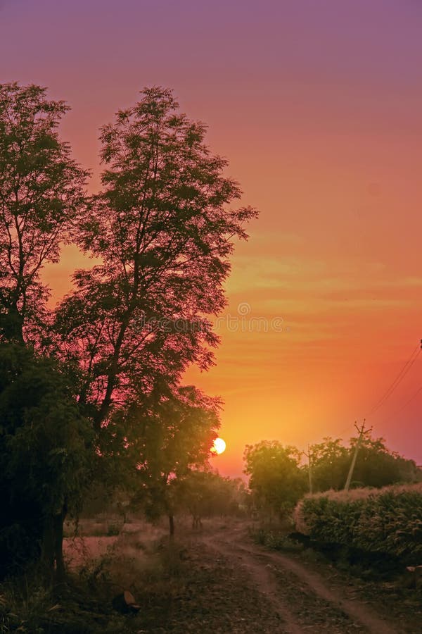 Farm side sunset stock photo. Image of industry, agriculture - 94144484