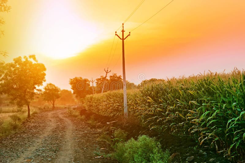 Farm side sunset stock image. Image of orange, electrical - 94151187