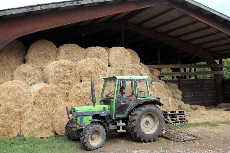 At the farm editorial image. Image of summer, village - 33965895