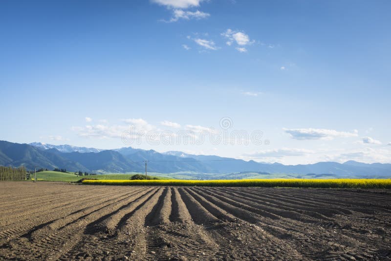 Farm in spring stock image. Image of landscape, scenery - 40627575