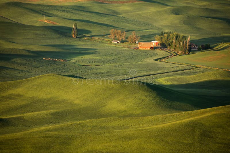 Rolling hills spring stock image. Image of palouse, plant - 118460955