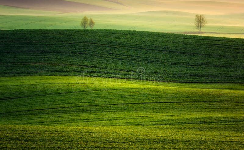 Farm in the Spring of Rising Sun. Stock Image - Image of horizon ...