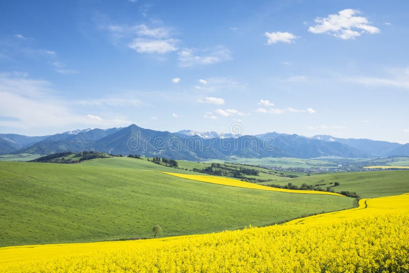 Farm in spring stock image. Image of landscape, blue - 40627743