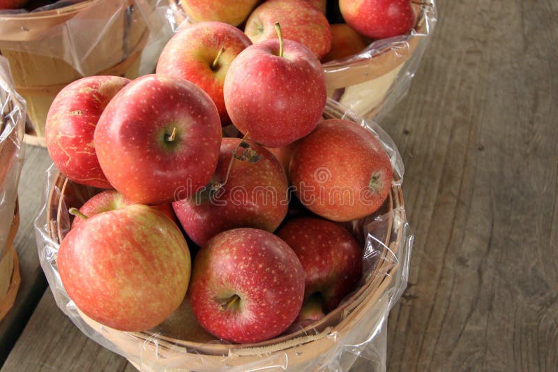 Farm stand apples. stock image. Image of delicious, halloween - 16252185