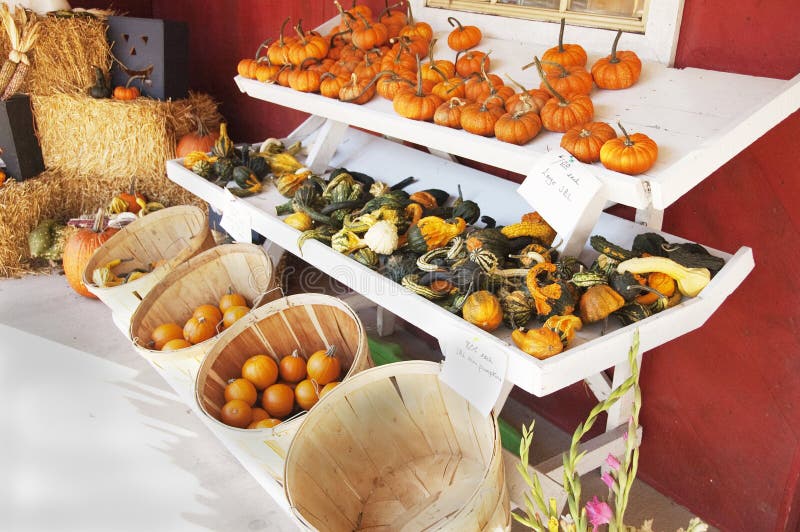 Roadside Pumpkin Stand stock image. Image of nature, sale - 3269227