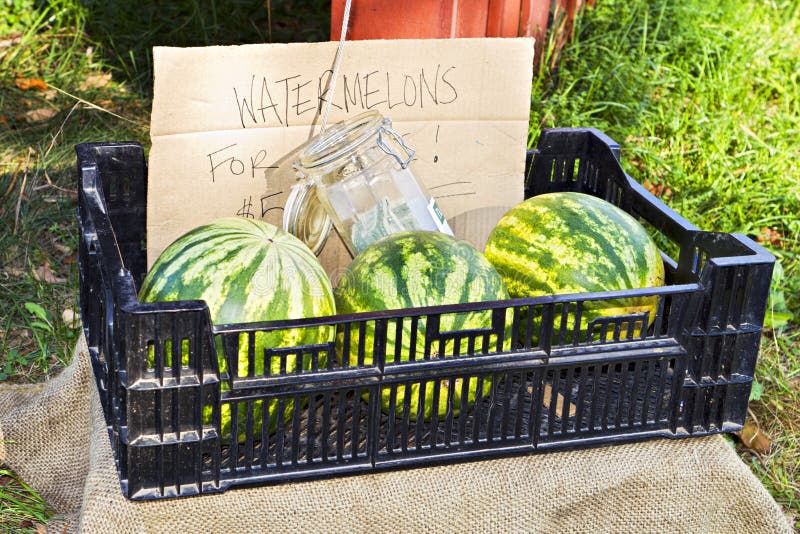 Farm stand sale stock photo. Image of watermelon, melon - 19975794