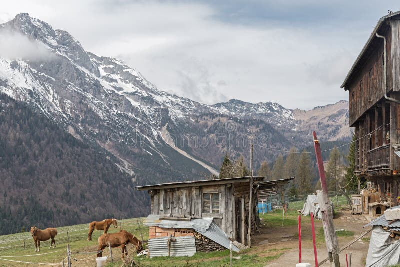 Farm Still Life stock photo. Image of nutrition, celebration - 948680
