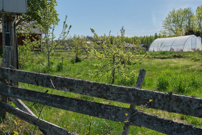 Farm on a Sunny Day in Spring in Skaraborg Sweden Stock Image - Image ...