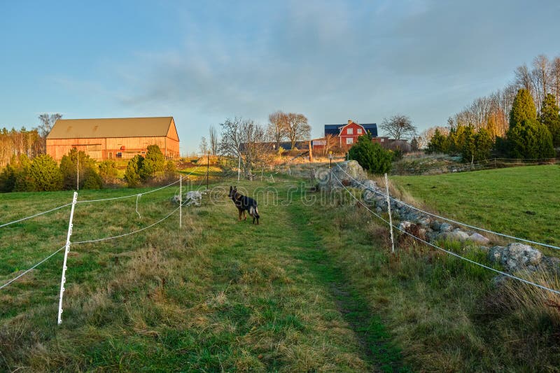 Farm on a Sunny Day in Spring in Skaraborg Sweden Stock Photo - Image ...