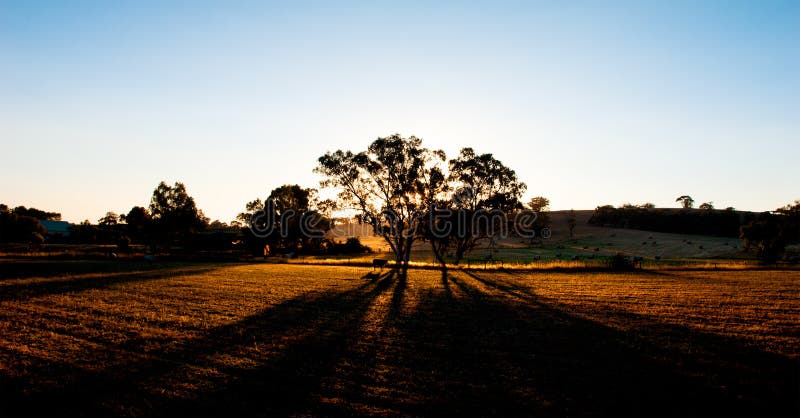 Farm Sunset Shadows stock photo. Image of large, scenic - 4587742
