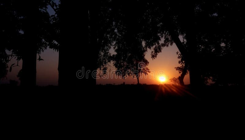 Sunset in farm editorial stock photo. Image of tree - 105671678