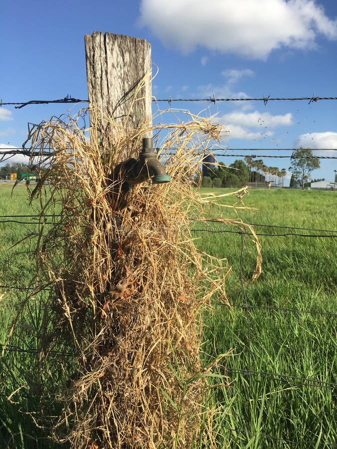 Farm tap stock image. Image of clouds, australian, fence - 67441121