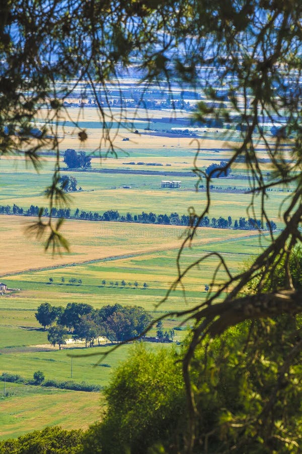 The farm stock photo. Image of food, east, african, algeria - 92864076
