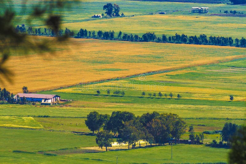 Algerian Littoral Stock Photos - Free & Royalty-Free Stock Photos from ...