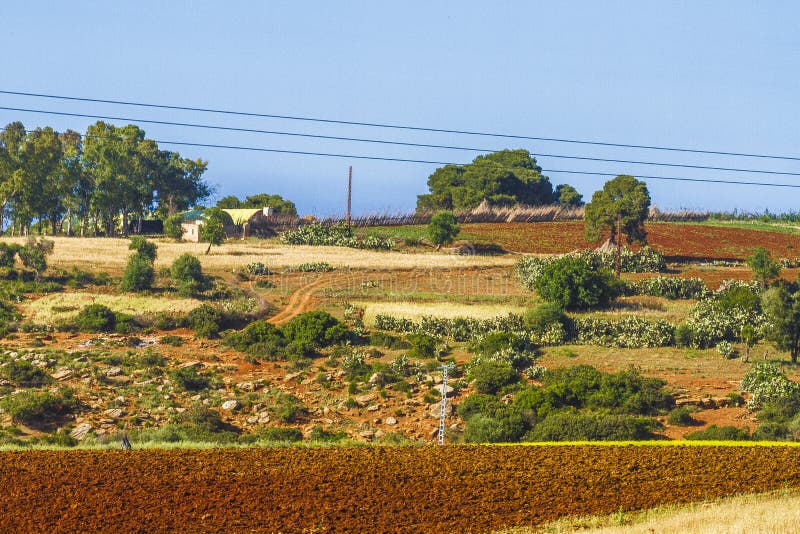 377 Agronomy Algeria Stock Photos - Free & Royalty-Free Stock Photos ...