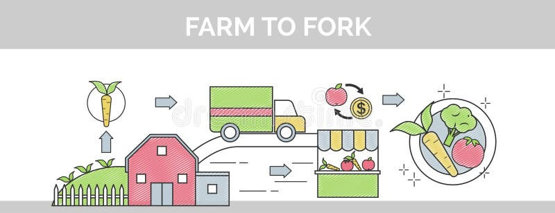 From Farm To Fork Flat Vector Thin Line Scribble Header Banner ...