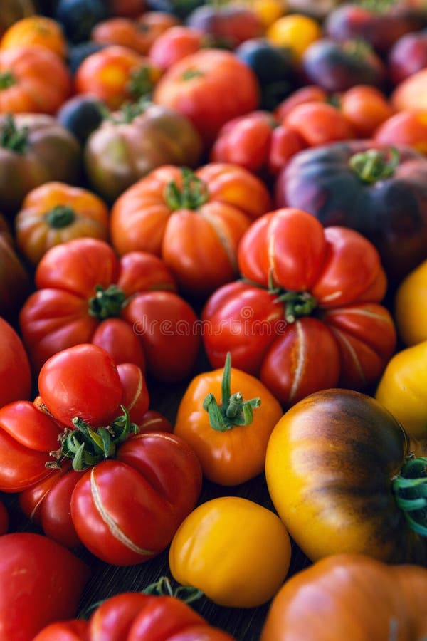 Farm tomatoes on the table stock image. Image of ripe - 264838459