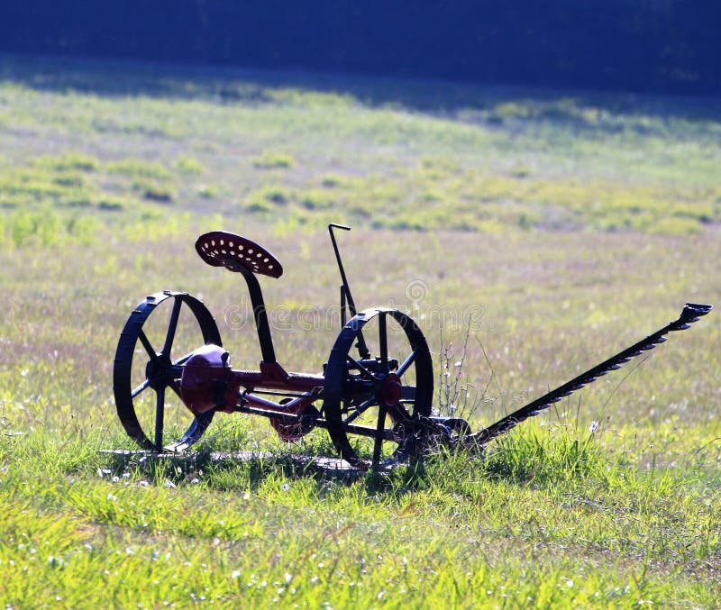 Farm tools in the field stock photo. Image of cows, wild - 97954040