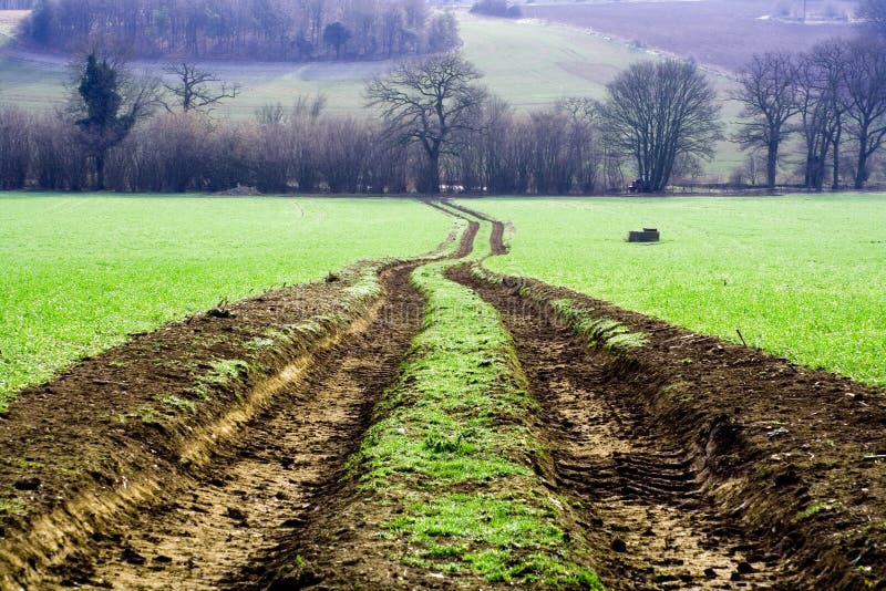 Farm Track Picture. Image: 1888211