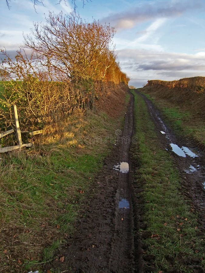 34,047 Farm Track Stock Photos - Free & Royalty-Free Stock Photos from ...