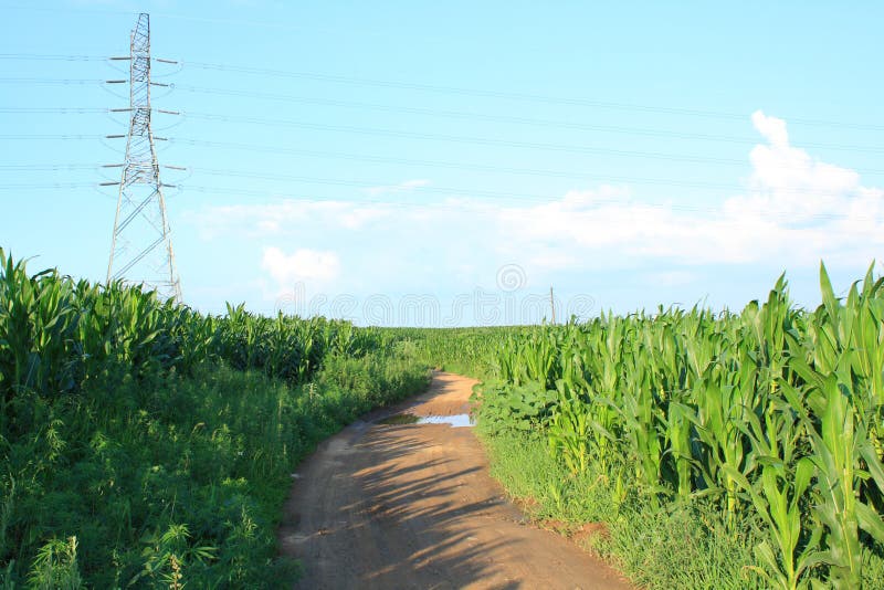 Farm track stock image. Image of communications, nature - 45408425