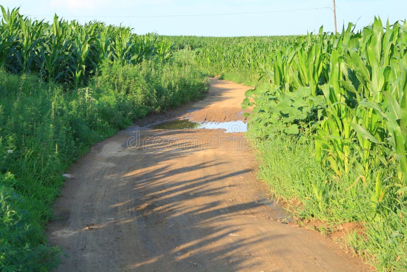 Farm track stock photo. Image of nature, landscape, road - 45409154