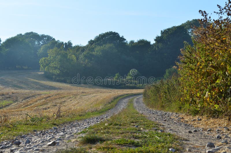 Farm track stock image. Image of summer, crop, wheat - 33431527