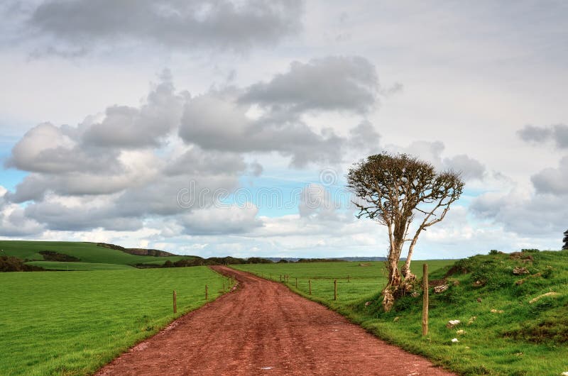 Farm Track Running between Lush Green Fields. Stock Photo - Image of ...