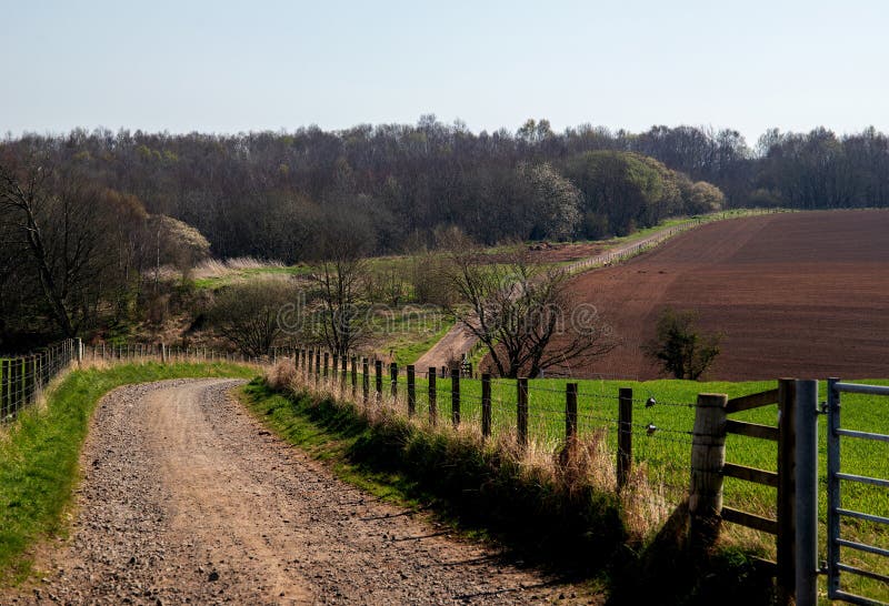 Farm Track in a Rural Location in Early Spring Stock Photo - Image of ...