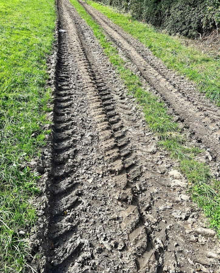Farm Tracks stock photo. Image of farm, field, tracks - 292832630