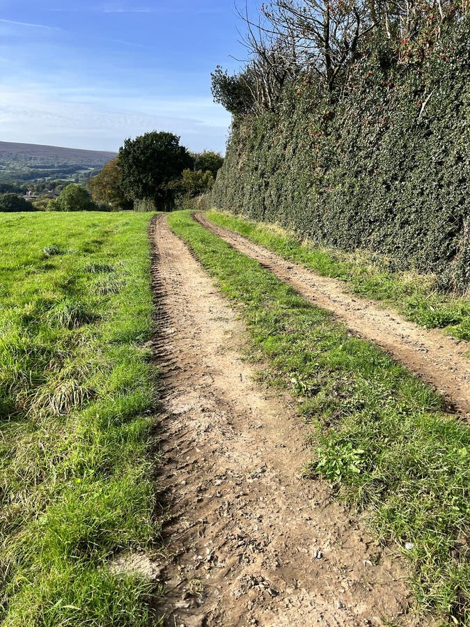 Farm Tracks stock image. Image of track, field, fields - 292832729