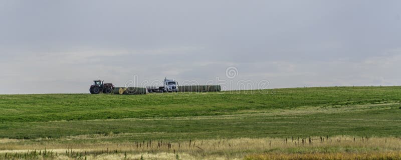 Farm Tractor in Farm Field during Harvest Stock Image - Image of farm ...