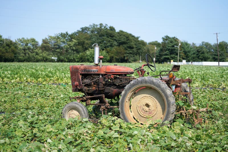 Farm Tractor on a Field Ready for Pick the Produce Stock Image - Image ...