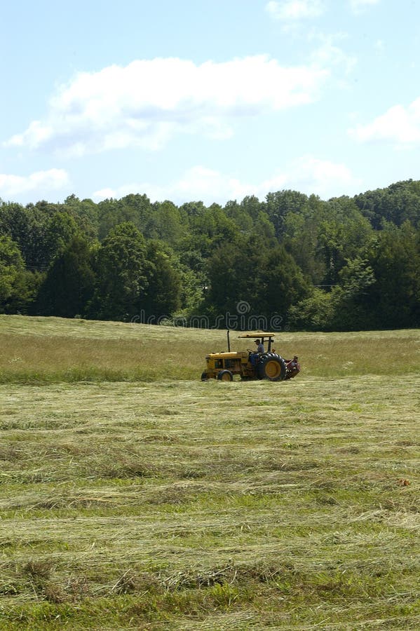 Farm Tractor Making Hay stock image. Image of fields, making - 1394155
