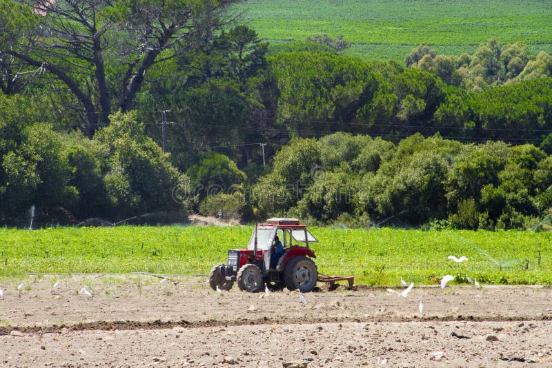 Farm tractor plowing crops stock image. Image of plants - 18069579