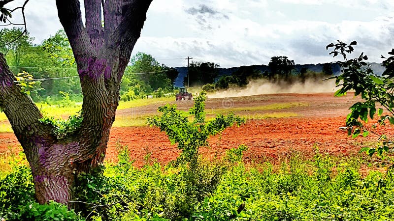 Farm Traktor at work stock image. Image of country, countryside - 72891331
