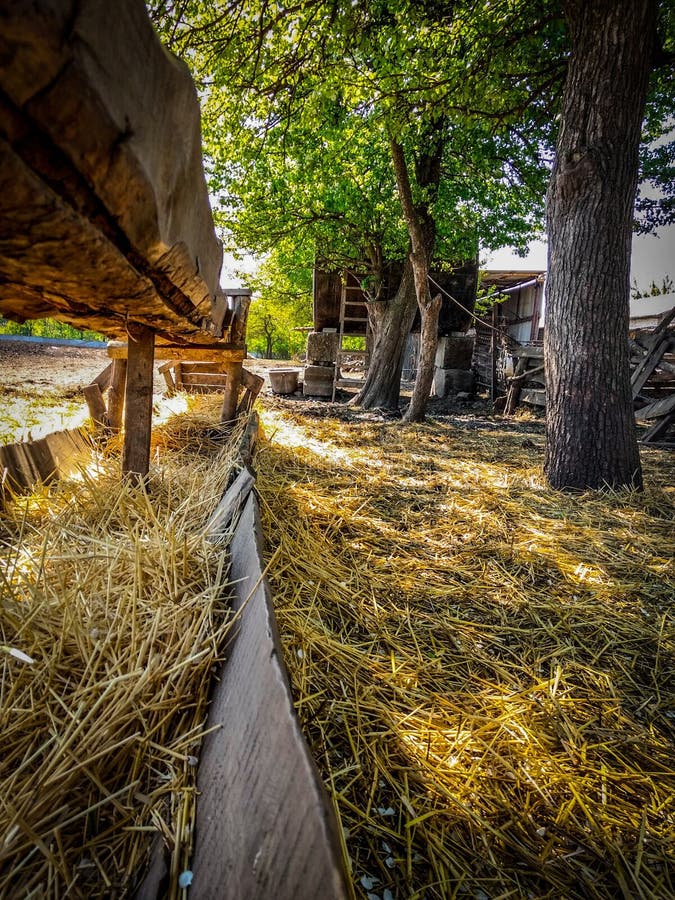 Farm stock image. Image of farm, tree, leaves, nature - 118817827