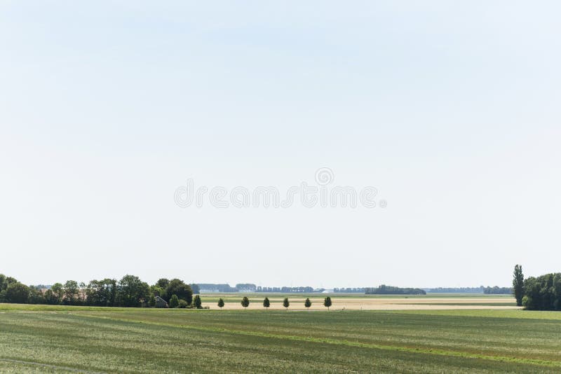 Farm Trees Aligned in a Row Stock Photo - Image of rural, land: 195861990