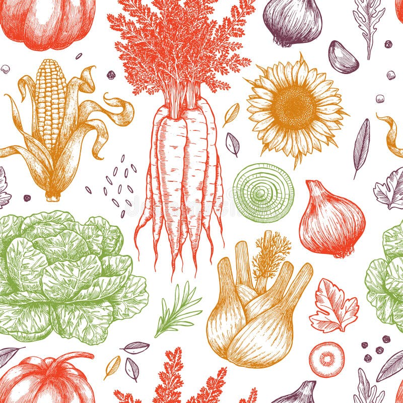 Farm Vegetables Seamless Pattern. Handsketched Vintage Vegetables. Line ...