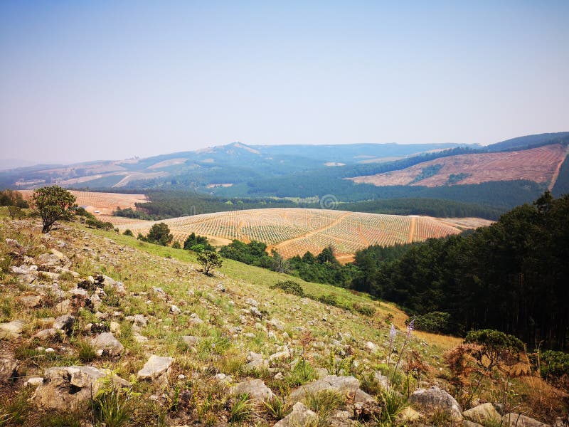 Farm view stock image. Image of rocks, view, hillside - 138391367