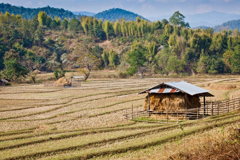 Farm view stock image. Image of hill, barn, natural, forest - 28391037