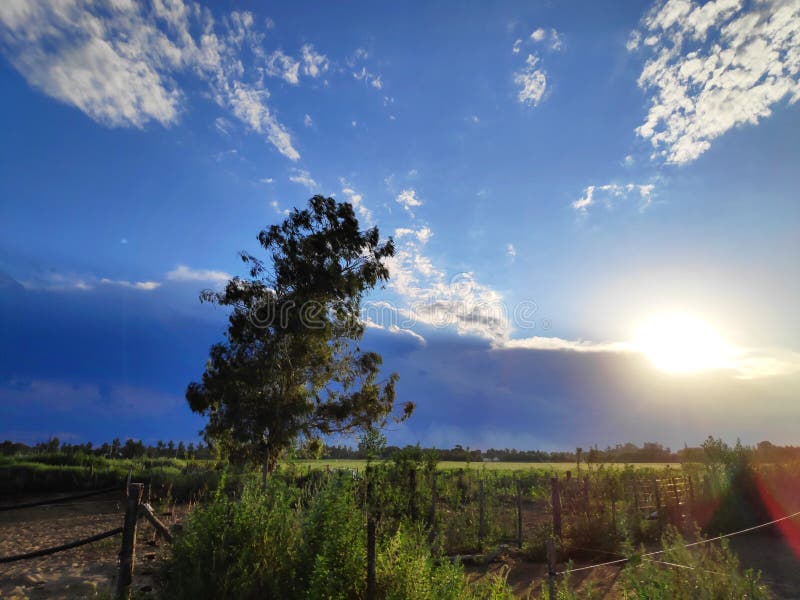 Farm views stock image. Image of views, tree, cloud - 139949221
