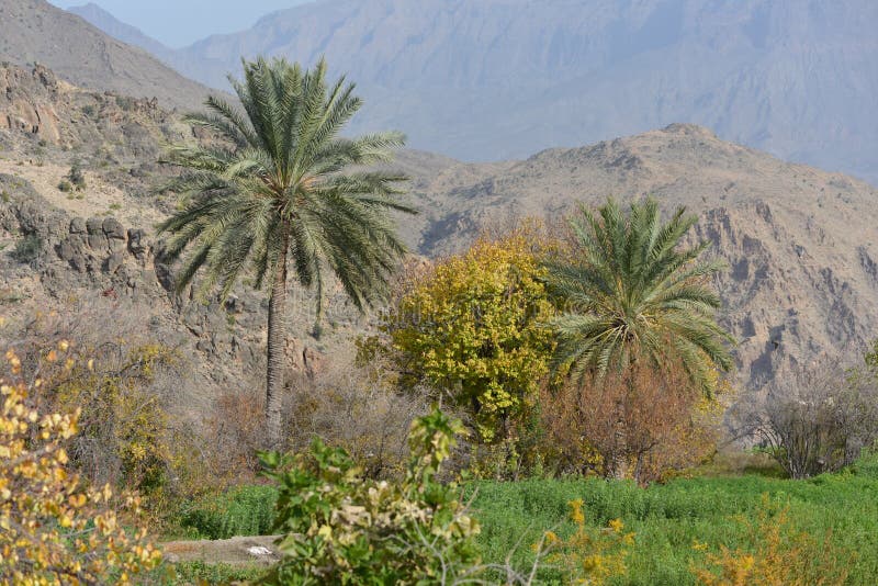 Farm in Wakan Village, Oman Stock Image - Image of landscape, plateau ...