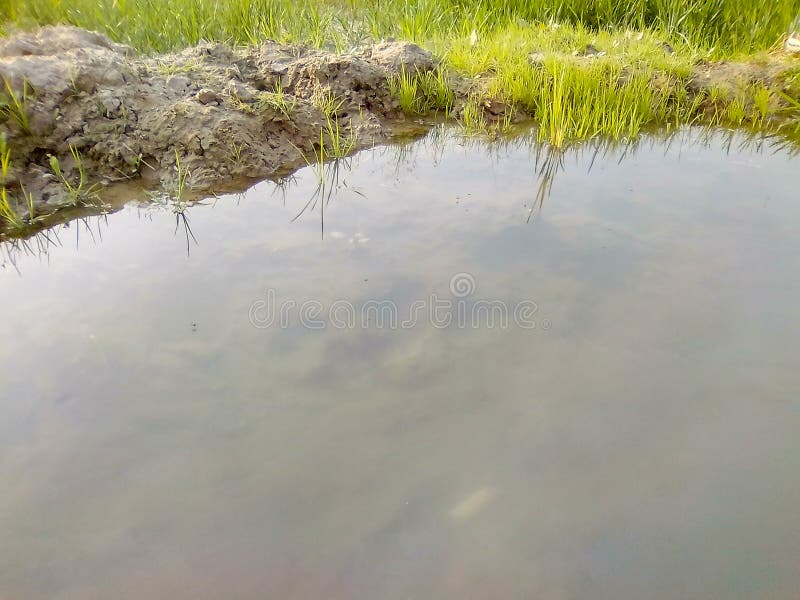 Farm Water Drain for Fields Stock Photo - Image of fields, landscape ...