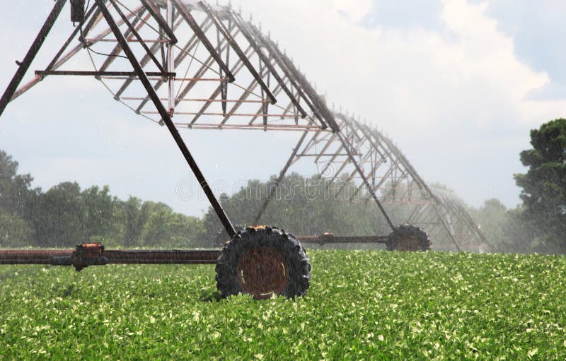The crop irrigation system stock photo. Image of equipment - 12065112