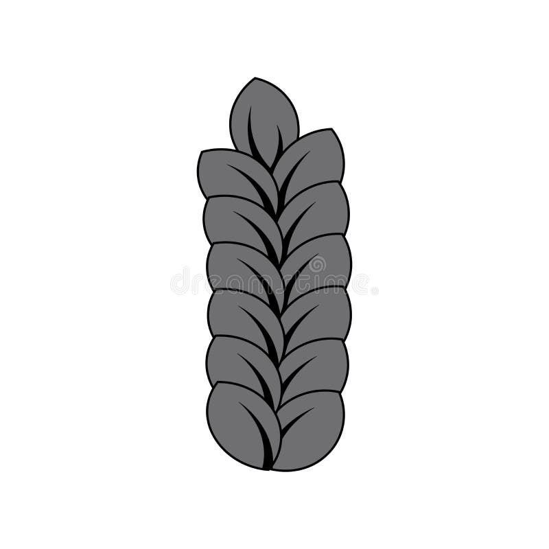 Farm Wheat Ears Icon Vector Template. Color Editable on White ...